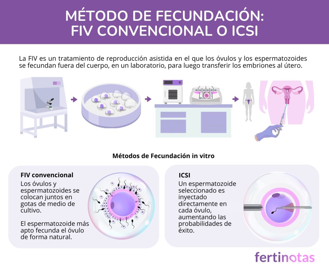 Preparación del semen y selección de espermatozoides para FIV - Fertinotas
